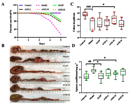 Improvement of Oxazolone-Induced Ulcerative Colitis in Rats Using ...
