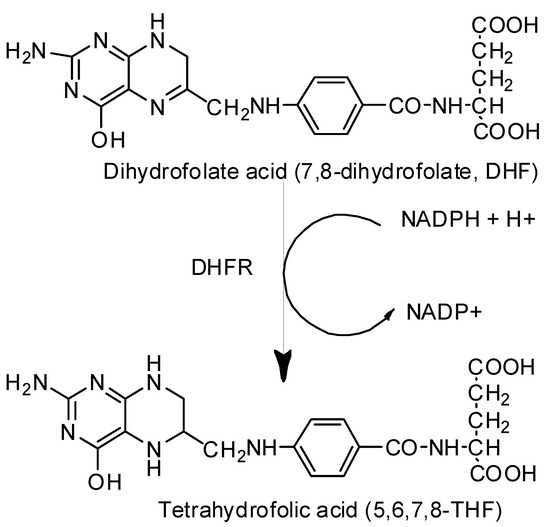 Trimethoprim: An Old Antibacterial Drug as a Template to Search for New ...