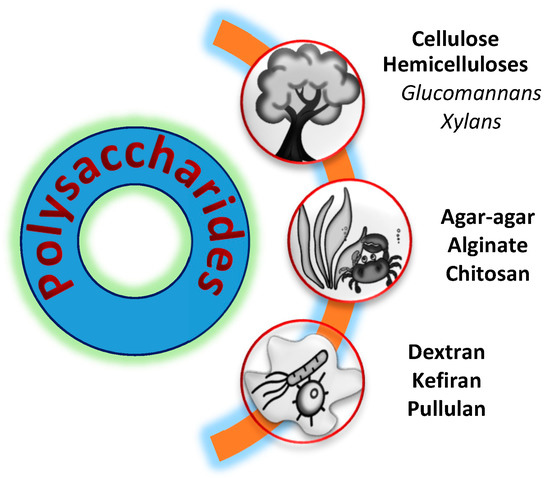 Prospect of Polysaccharide-Based Materials as Advanced Food Packaging