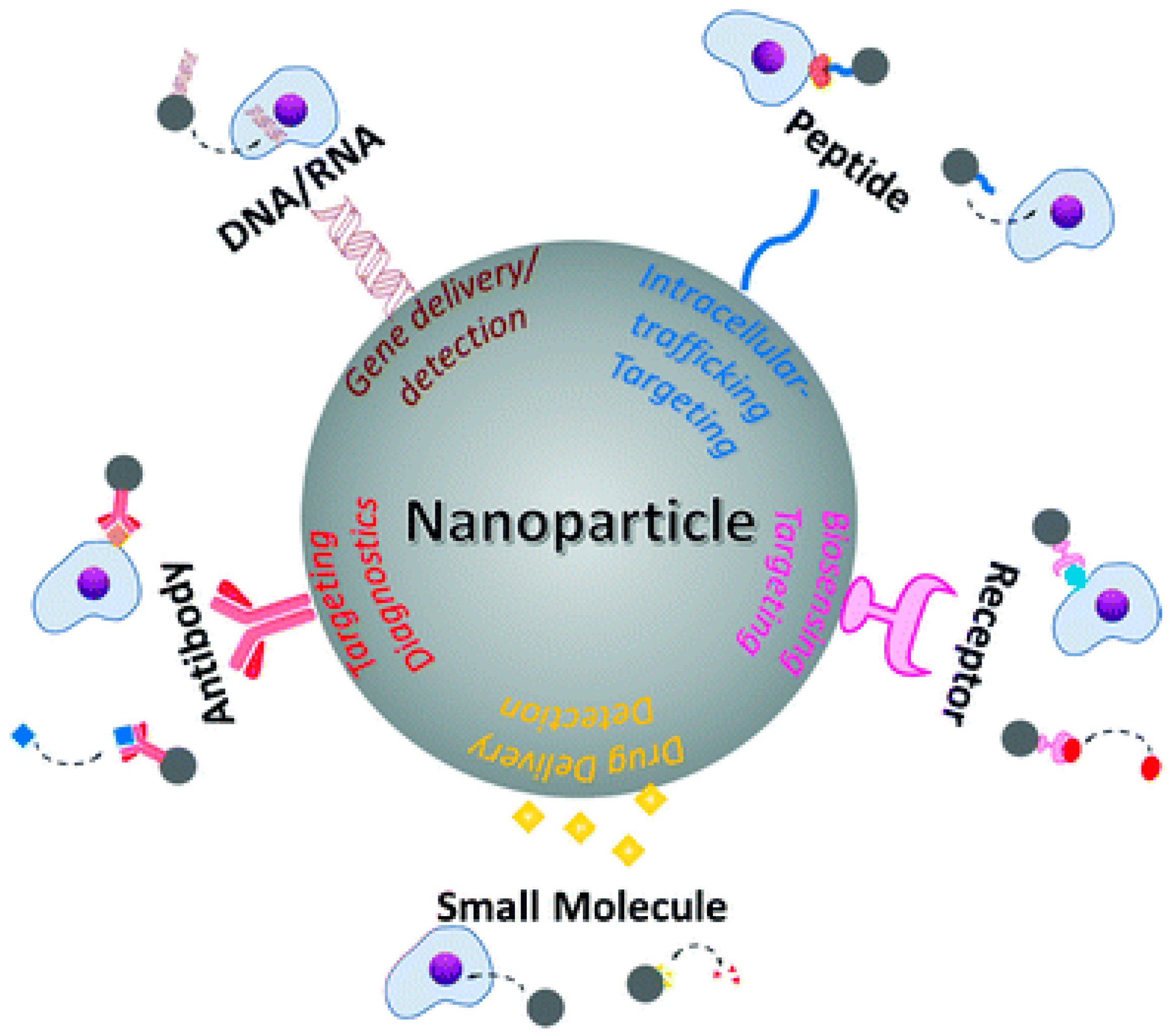 Optical Nanoparticles at Emma Pitt blog