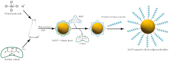 Gold Nanoparticles in Conjunction with Nucleic Acids as a Modern ...