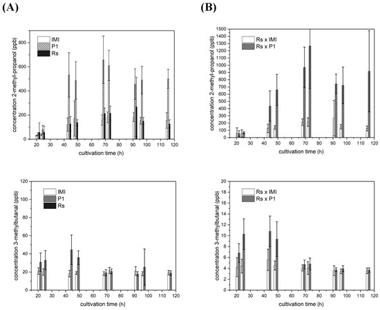 The Trichoderma atroviride Strains P1 and IMI 206040 Differ in Their Light-Response and VOC ...