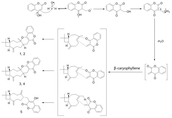 Meroterpene-Like ?-Glucosidase Inhibitors Based on Biomimetic Reactions ...