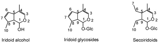 Iridoids: Research Advances in Their Phytochemistry, Biological ...