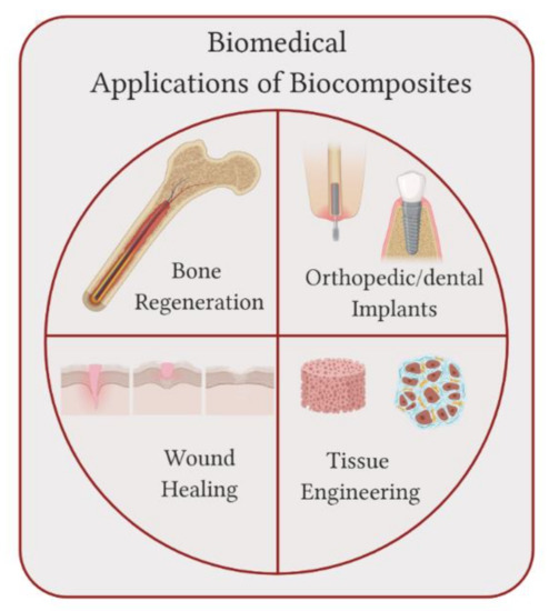 From Dermal Patch to Implants—Applications of Biocomposites in Living ...
