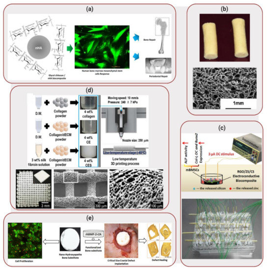 From Dermal Patch to Implants—Applications of Biocomposites in Living ...