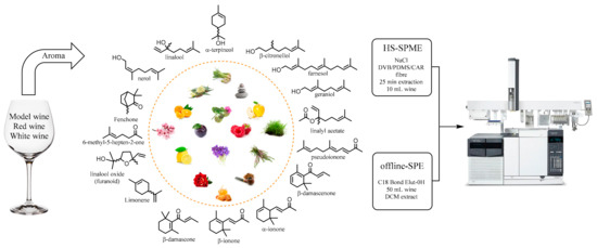 Comparison of an Offline SPE–GC–MS and Online HS–SPME–GC–MS Method for the Analysis of Volatile ...