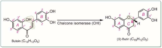 Simultaneous Study of Anti-Ferroptosis and Antioxidant Mechanisms of ...