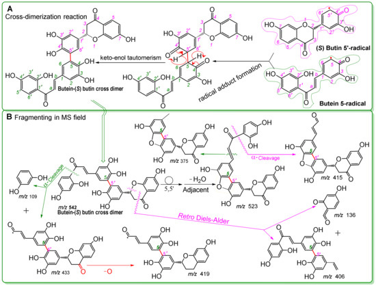 Simultaneous Study of Anti-Ferroptosis and Antioxidant Mechanisms of ...