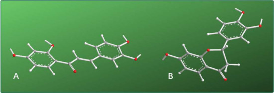 Simultaneous Study of Anti-Ferroptosis and Antioxidant Mechanisms of ...