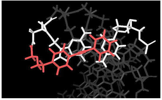SNP Discrimination by Tolane-Modified Peptide Nucleic Acids ...