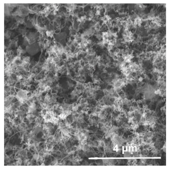 Carbon-Supported Raney Nickel Catalyst for Acetone Hydrogenation with ...