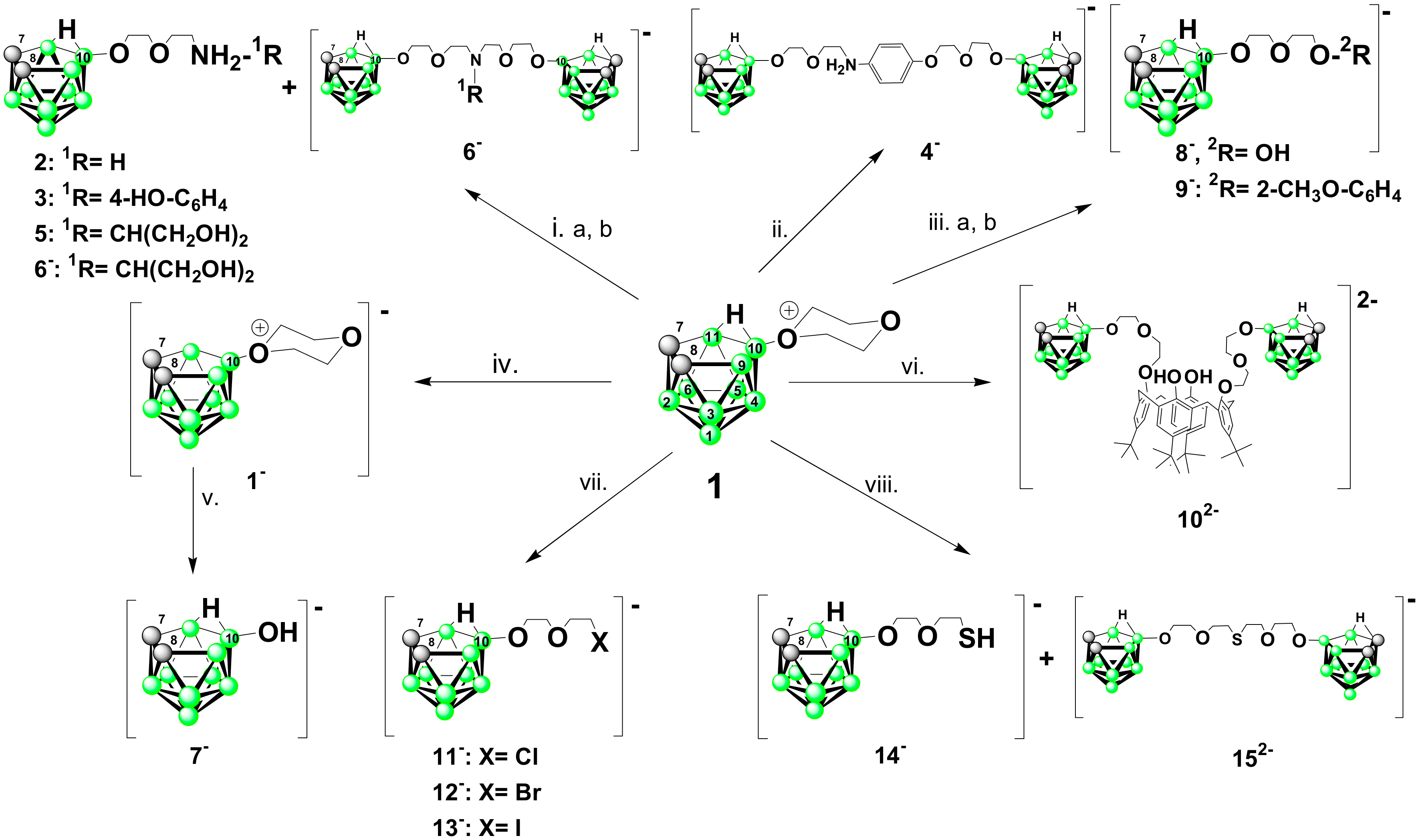 Focus on Chemistry of the 10-Dioxane-nido-7,8-dicarba-undecahydrido ...