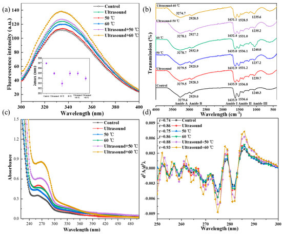 Ultrasound-Assisted Mild Heating Treatment Improves the Emulsifying Properties of 11S Globulins