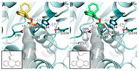 Candida antarctica Lipase A-Based Enantiorecognition of a Highly ...