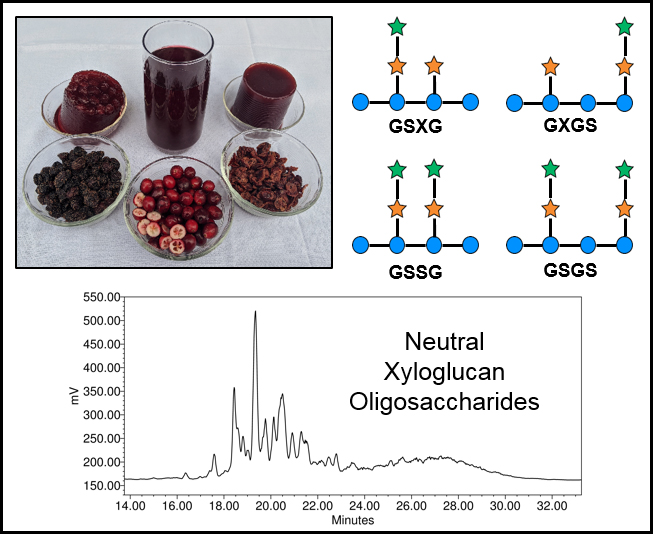 Molecules | Free Full-Text | Oligosaccharides and Complex Carbohydrates ...