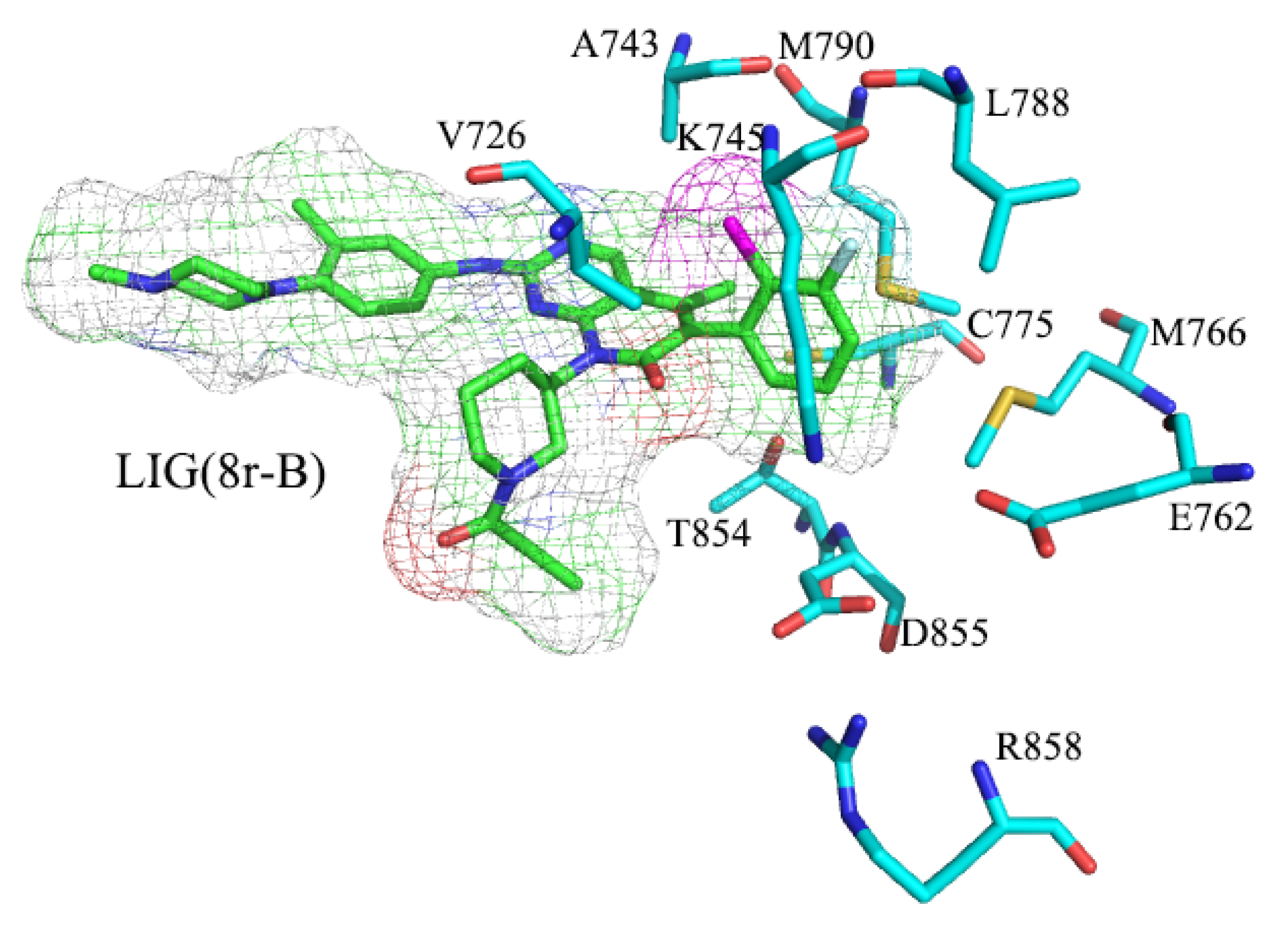 Molecules | Free Full-Text | How Different Substitution Positions of F ...