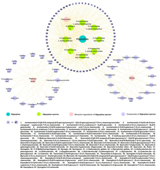 Advanced Research on the Antioxidant Activity and Mechanism of ...