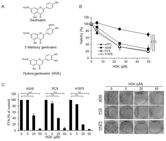 Hydroxygenkwanin Suppresses Non-Small Cell Lung Cancer Progression by ...