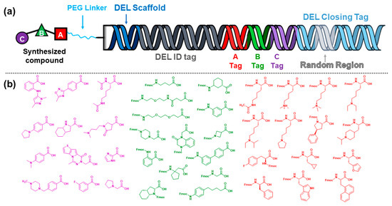 Design and Construction of a Focused DNA-Encoded Library for ...