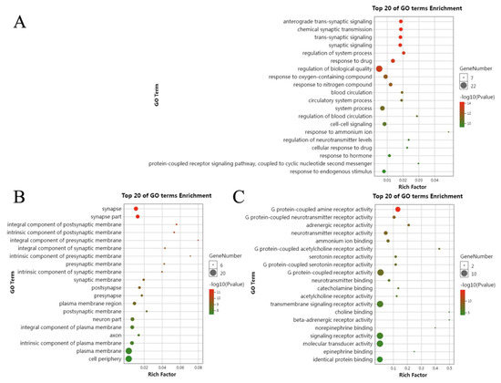 Identification of the Molecular Mechanisms of Peimine in the Treatment ...