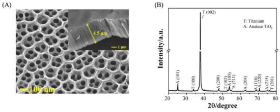 Flexible and Reusable Ag Coated TiO2 Nanotube Arrays for Highly Sensitive SERS Detection of ...