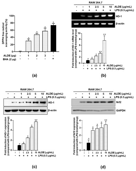 Inhibitory Effects of Aucklandia lappa Decne. Extract on Inflammatory ...