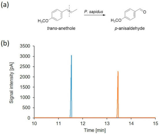 Molecules | Free Full-Text | A DyP-Type Peroxidase of Pleurotus sapidus ...