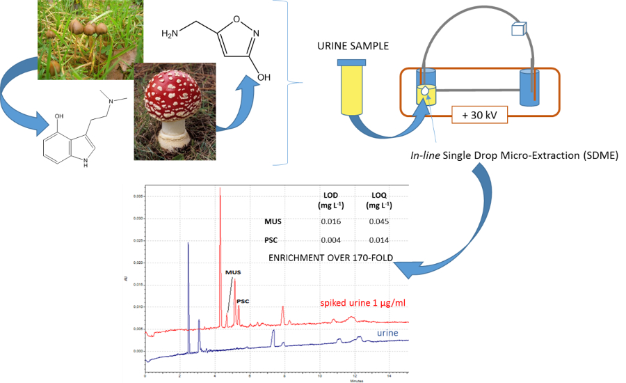 Molecules | Free Full-Text | Direct Analysis of Psilocin and Muscimol ...