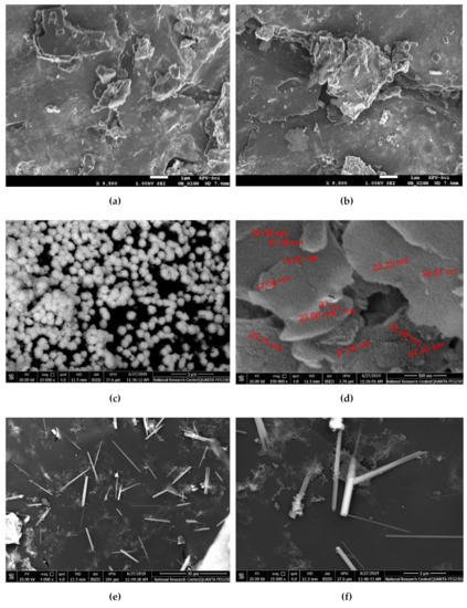 Green Synthesis of an Activated Carbon-Supported Ag and ZnO Nanocomposite for Photocatalytic ...
