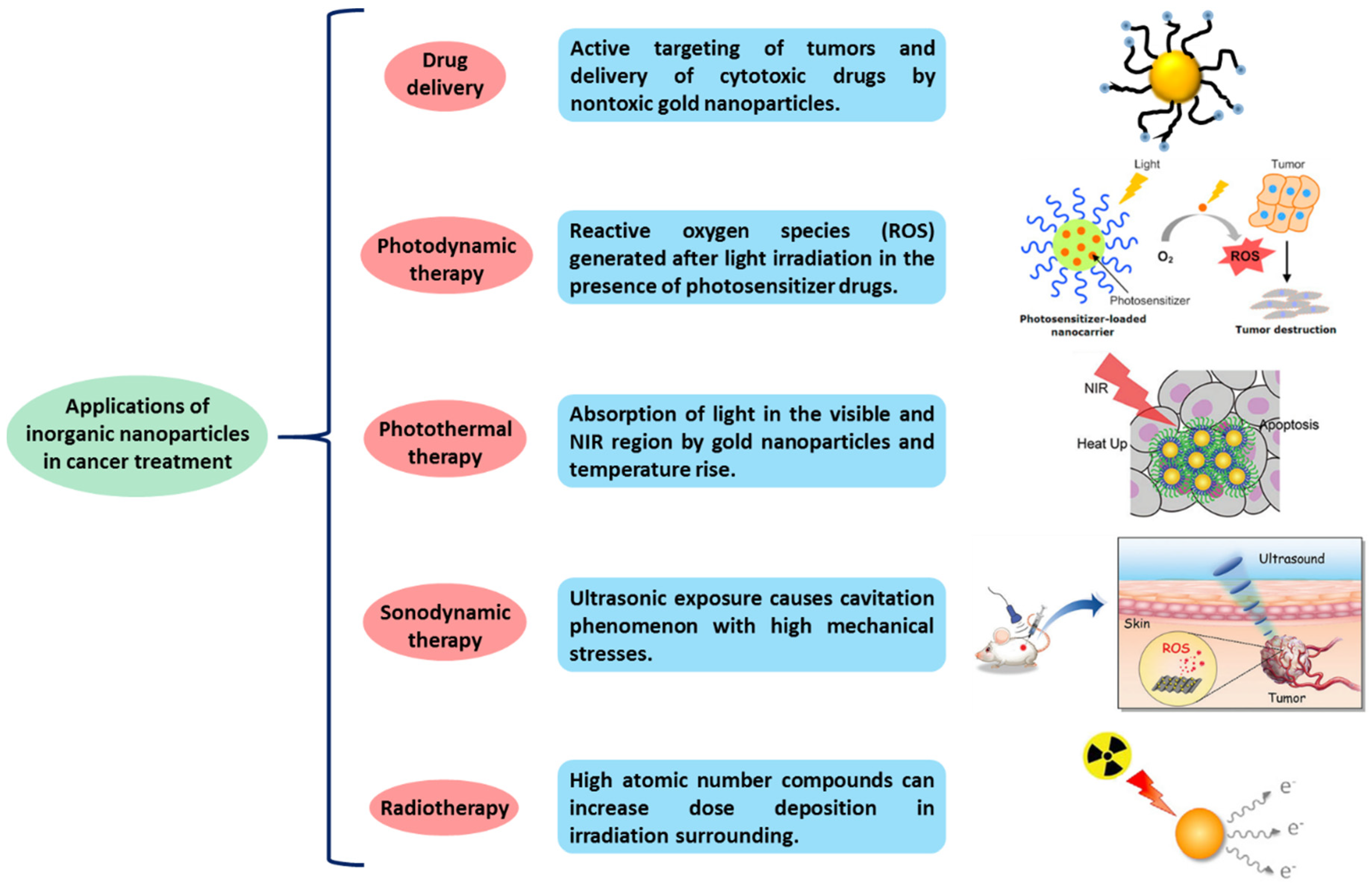 Encapsulation for Cancer Therapy
