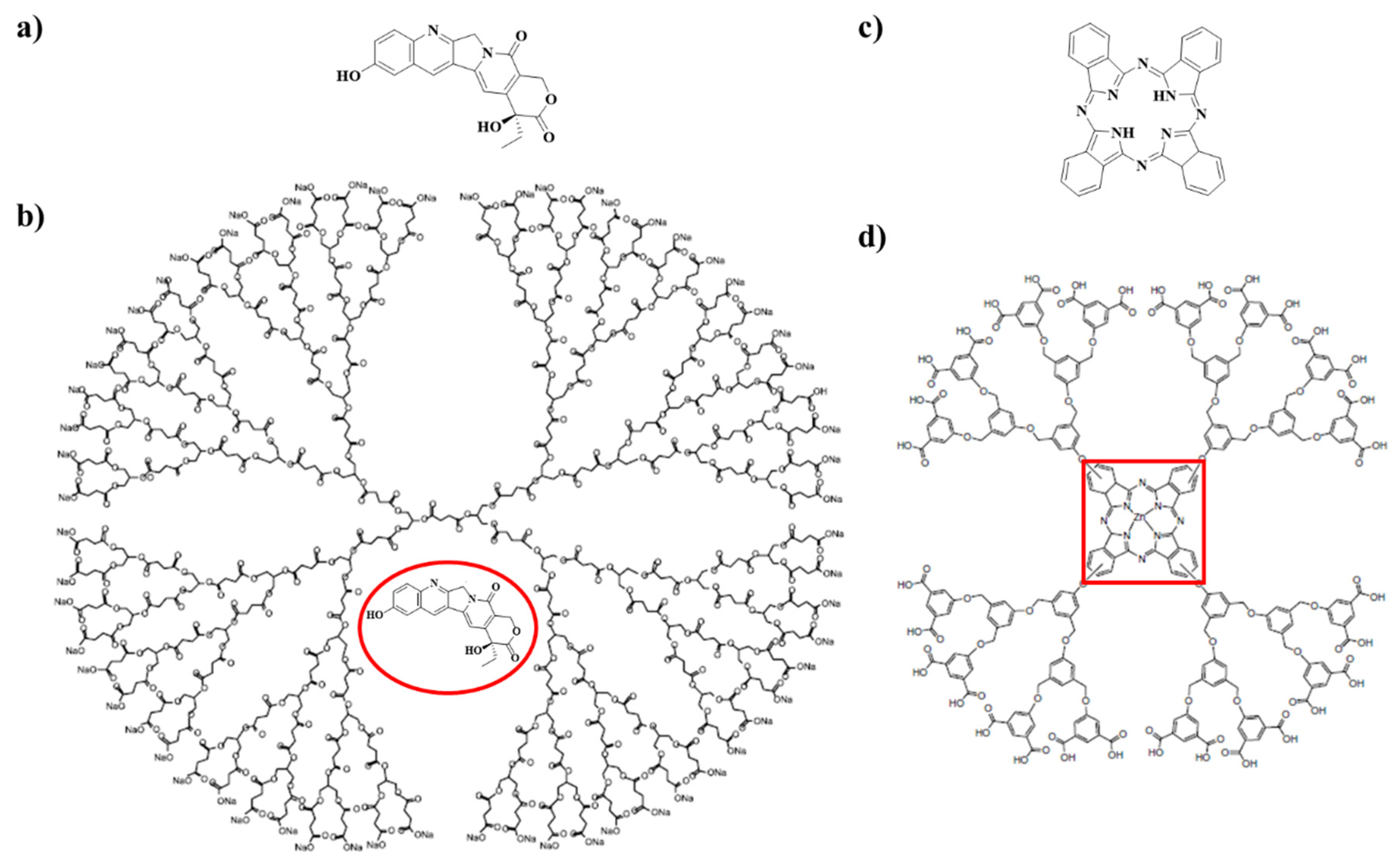 Encapsulation for Cancer Therapy