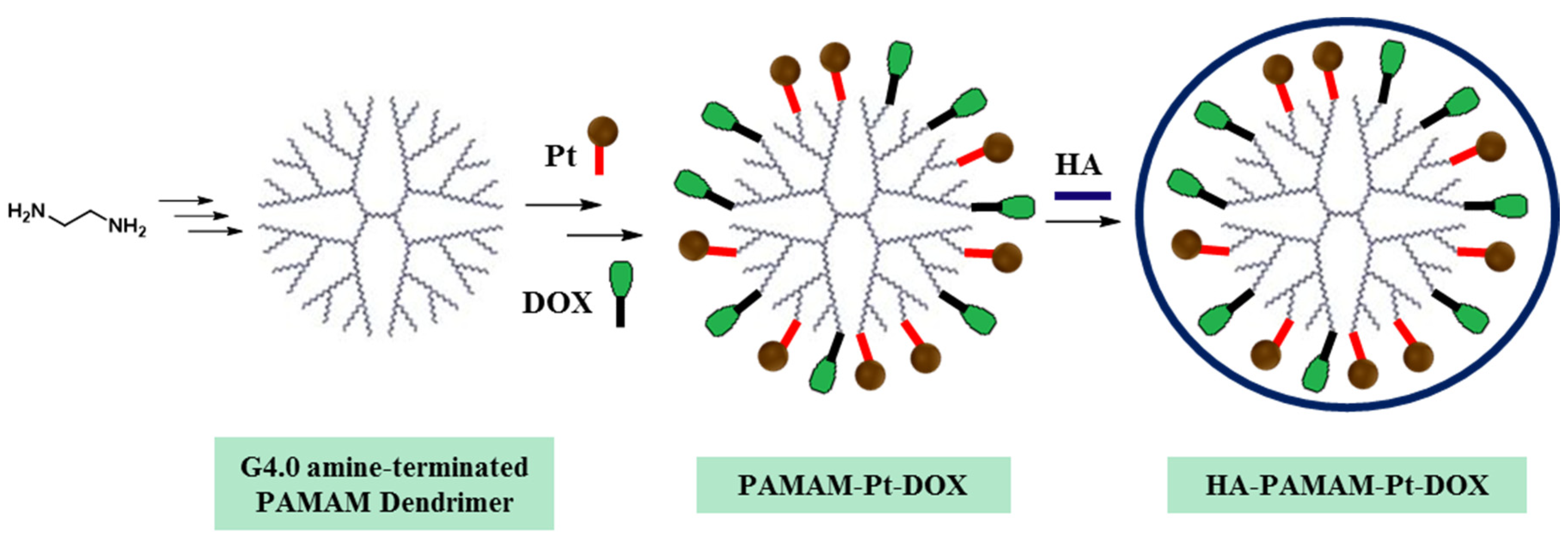 Encapsulation for Cancer Therapy