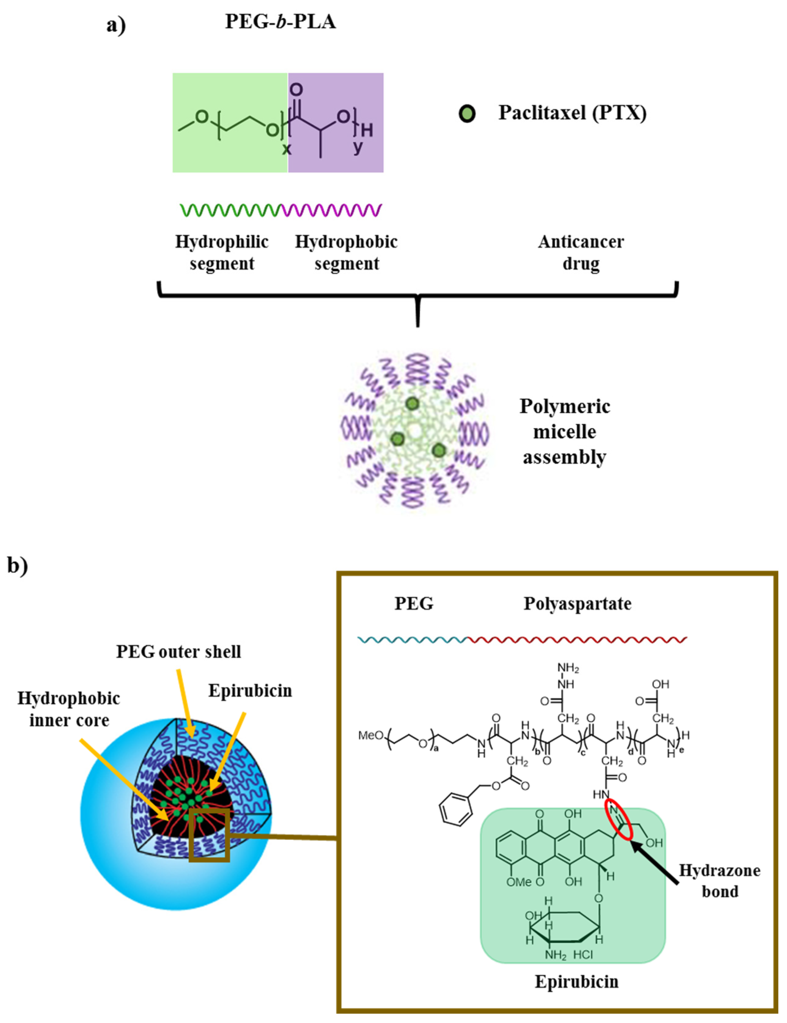 Encapsulation for Cancer Therapy
