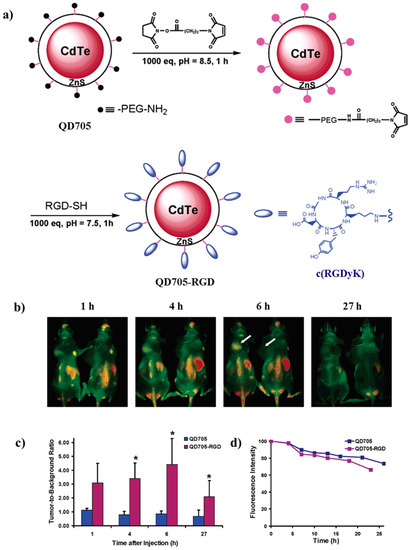 Encapsulation for Cancer Therapy