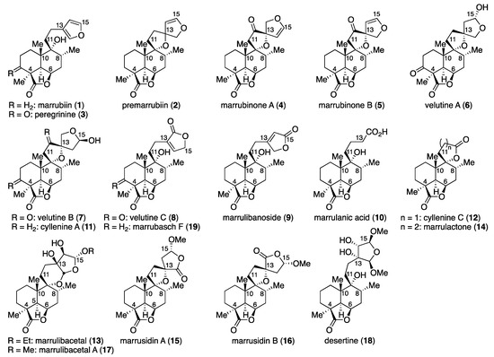 Molecules | Free Full-Text | Total Syntheses of Marrubiin and Related ...