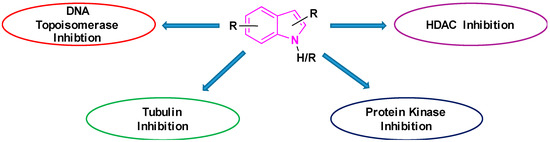 Role of Indole Scaffolds as Pharmacophores in the Development of Anti ...