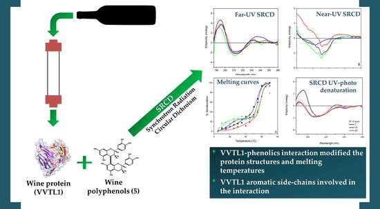 Molecules | Special Issue : Protein-Peptide and Protein-Small Molecule ...