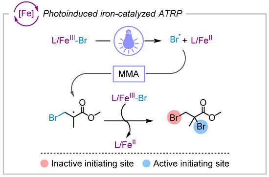 Iron Catalysts in Atom Transfer Radical Polymerization