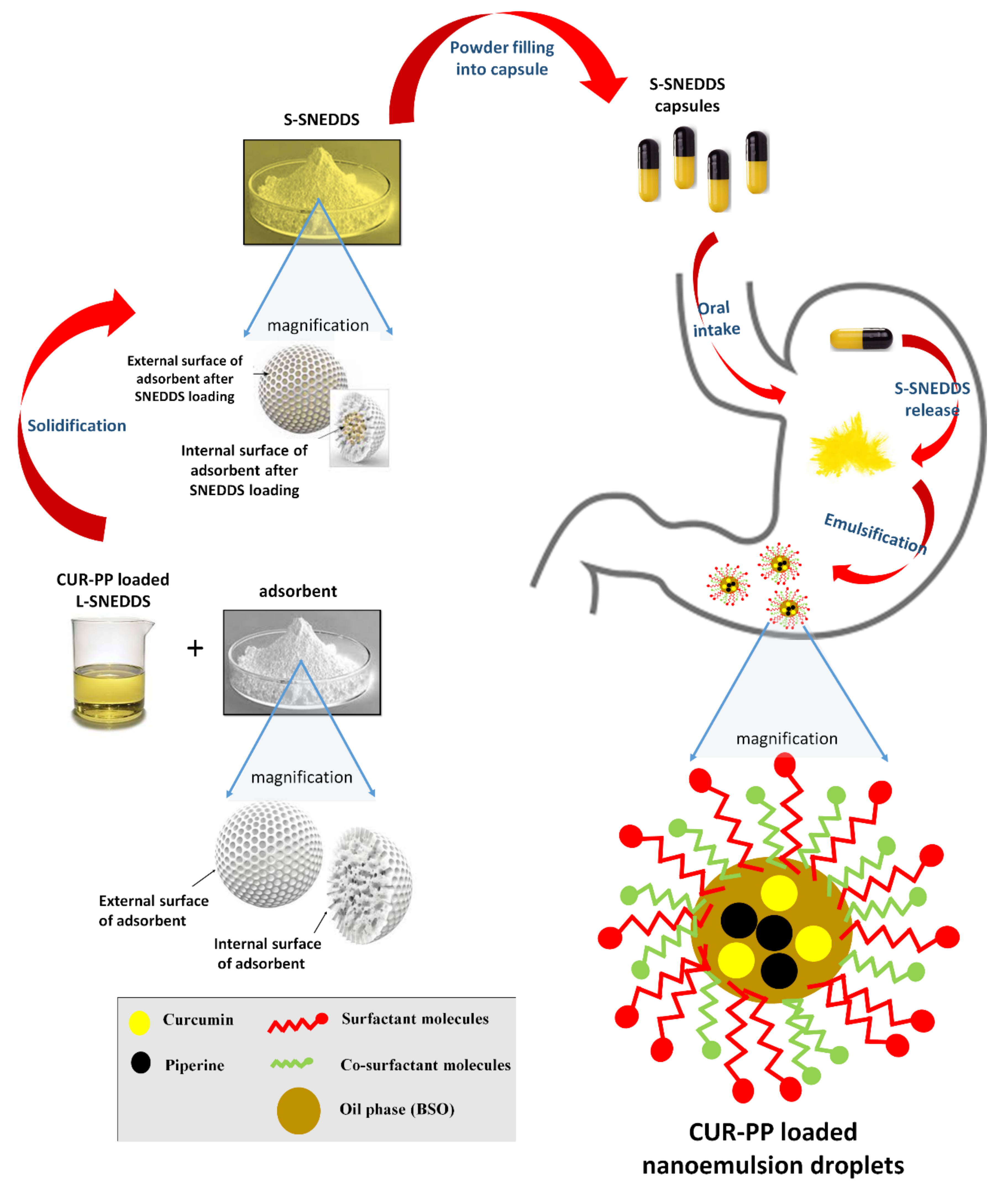Molecules | Free Full-Text | Bioactive Self-Nanoemulsifying Drug ...