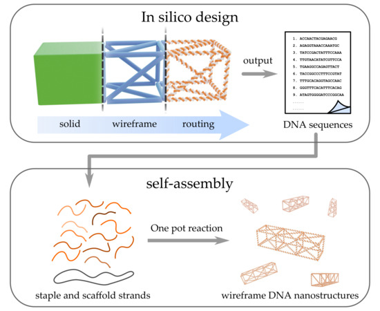 Molecules | Special Issue : Biomolecular Materials: Self-Assembly ...