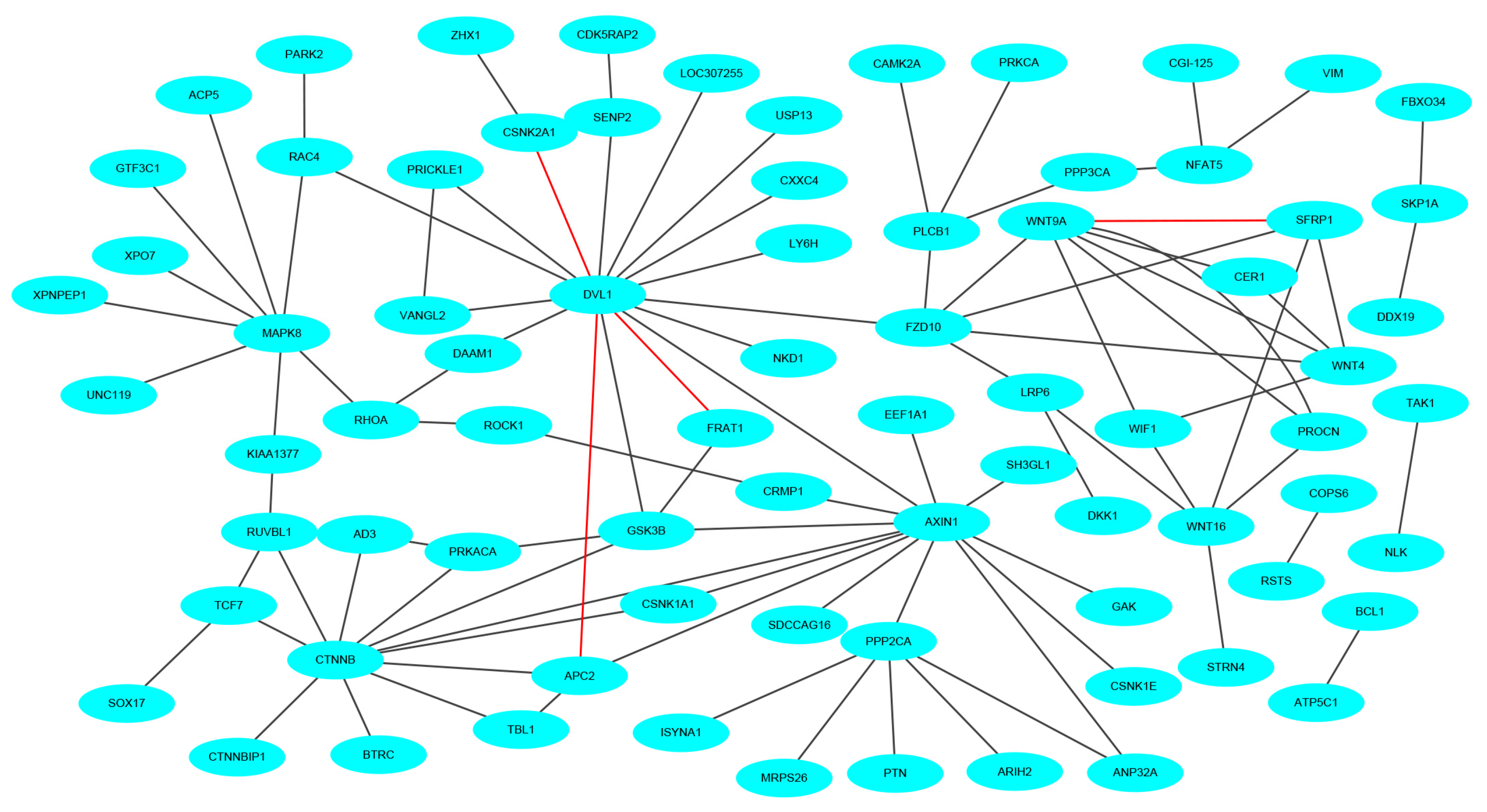 Protein-Protein Interactions Prediction Based on Graph Energy and ...