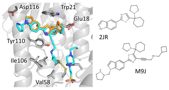 Targeting Trypanothione Reductase, a Key Enzyme in the Redox ...