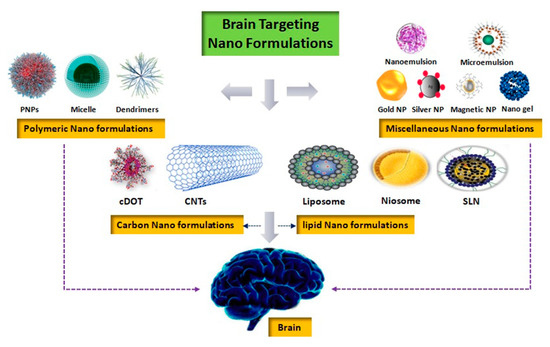 Intranasal Delivery of Nanoformulations: A Potential Way of Treatment ...