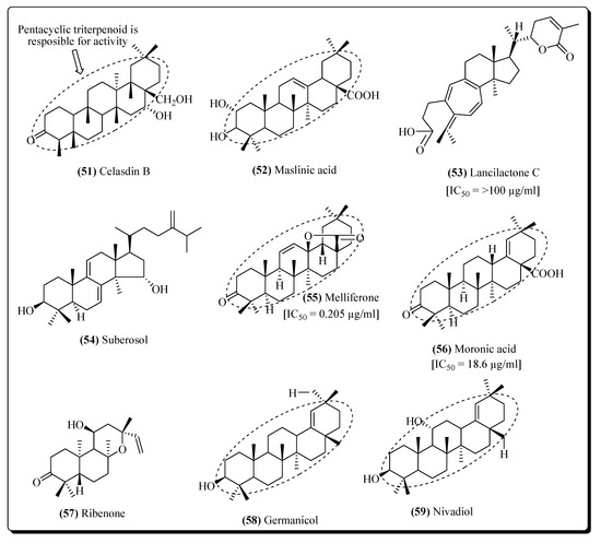 Molecules Free Full Text Structure Activity Relationship And
