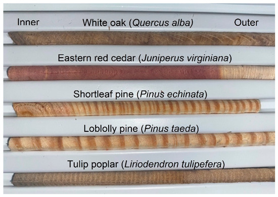 Determination of Metals in Tree Rings by ICP-MS Using Ash from a Direct ...