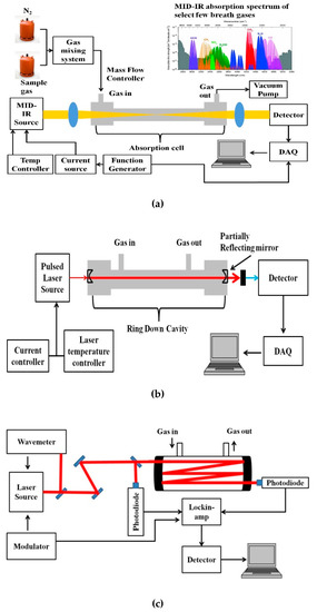 Advances in Mid-Infrared Spectroscopy-Based Sensing Techniques for ...