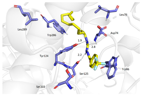 N-Alkyl-2-[4-(trifluoromethyl)benzoyl]hydrazine-1-carboxamides and ...