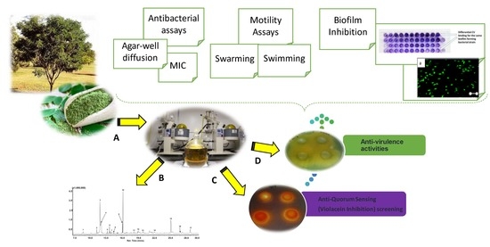 Molecules | Special Issue : Biological Activities of Medicinal Plants