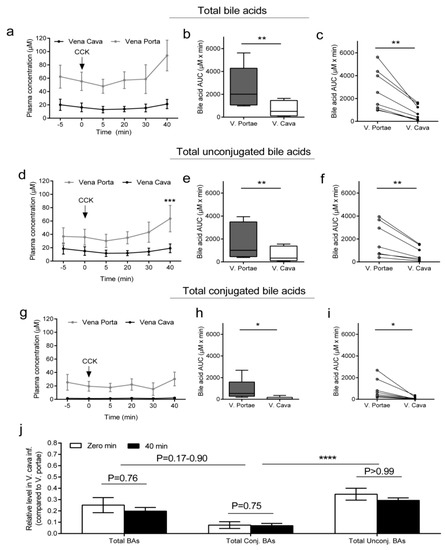 Hepatic Bile Acid Reuptake in the Rat Depends on Bile Acid Conjugation ...